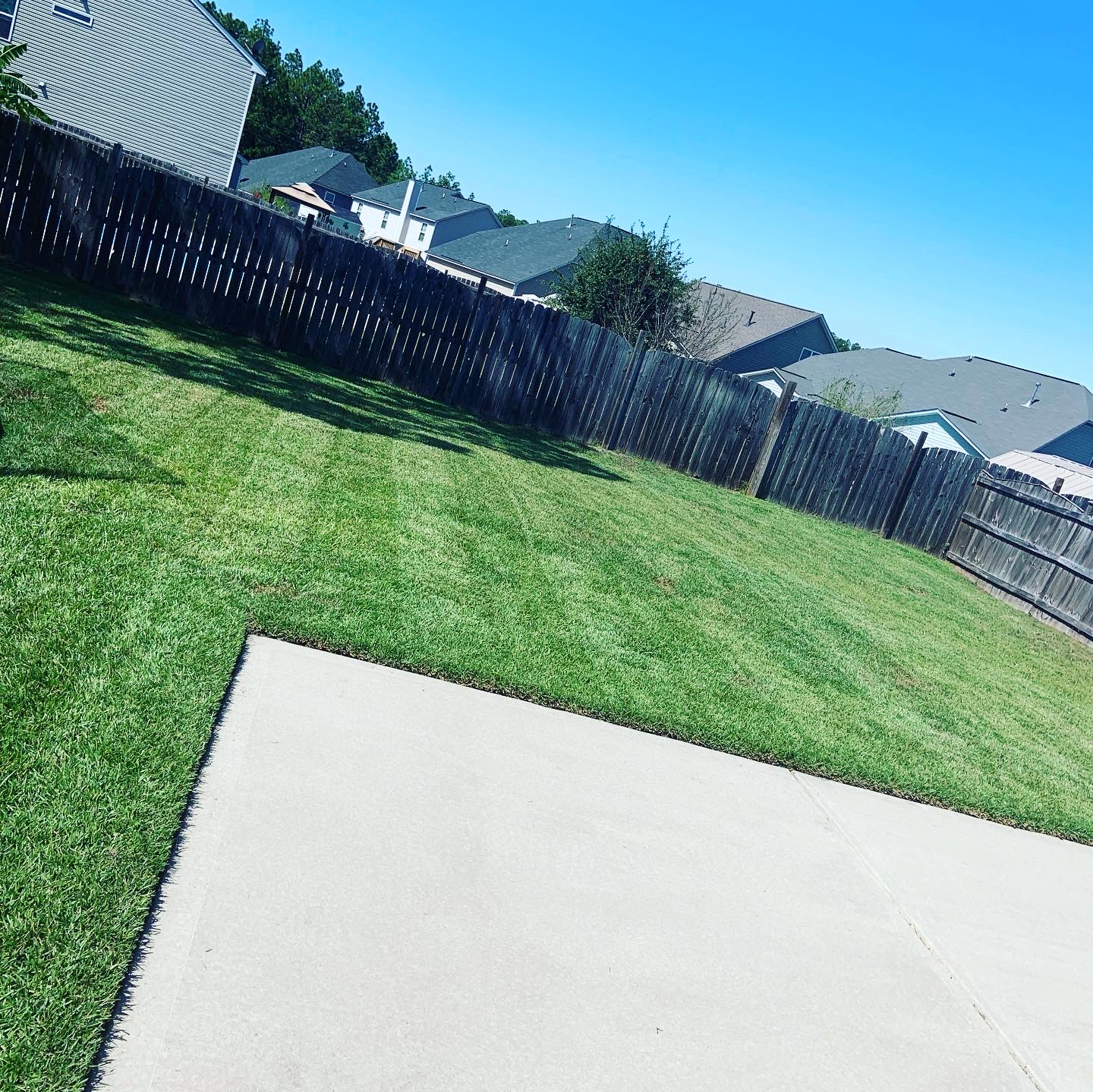 Lawn Maintenance – Blue Marlin Landscape