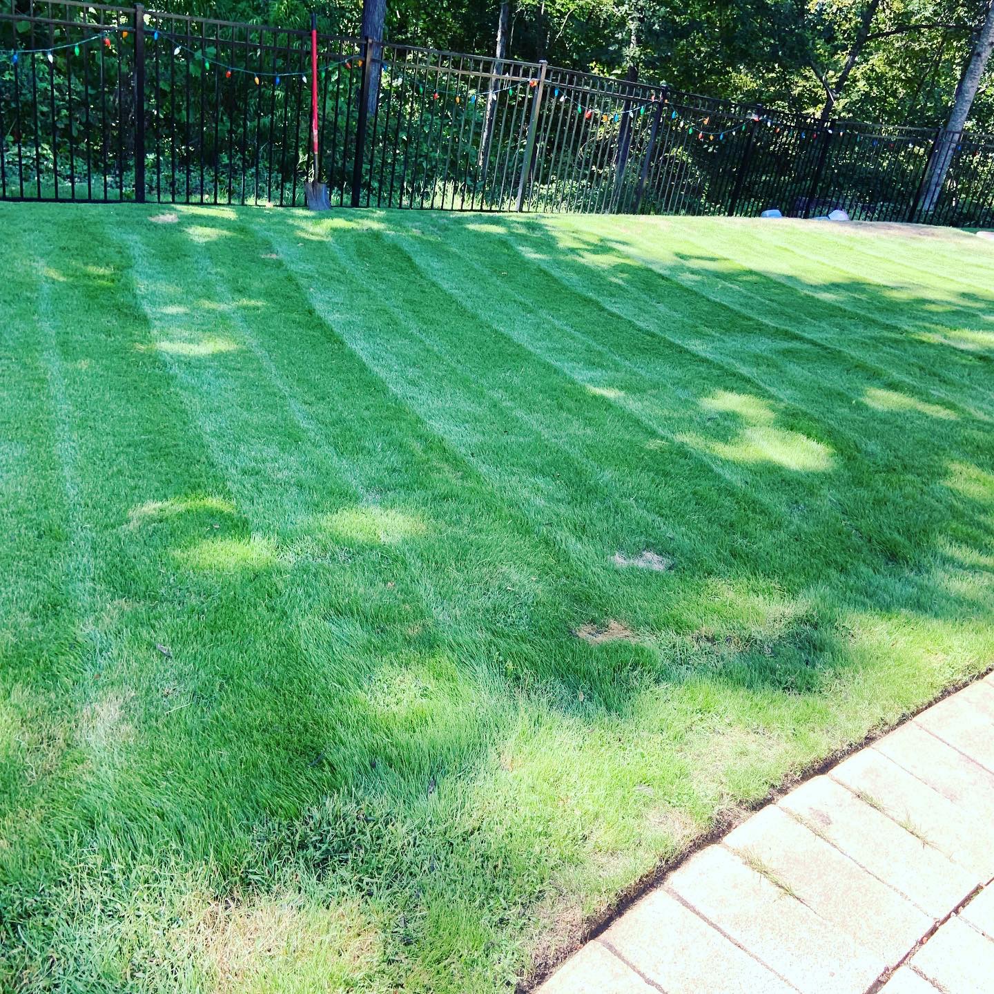 Lawn Maintenance – Blue Marlin Landscape