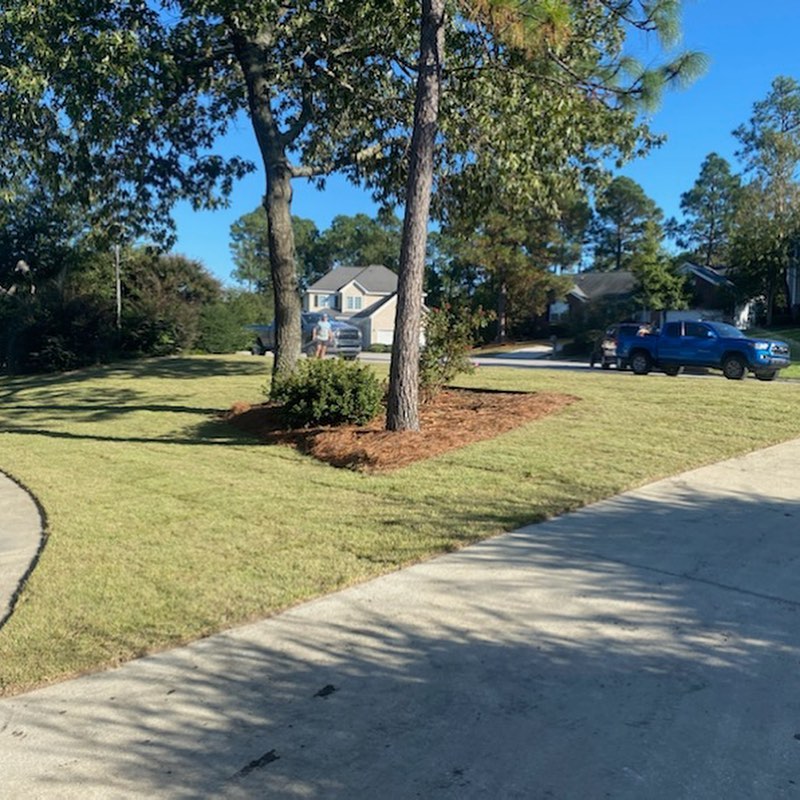 Landscape Design & Installation – Blue Marlin Landscape