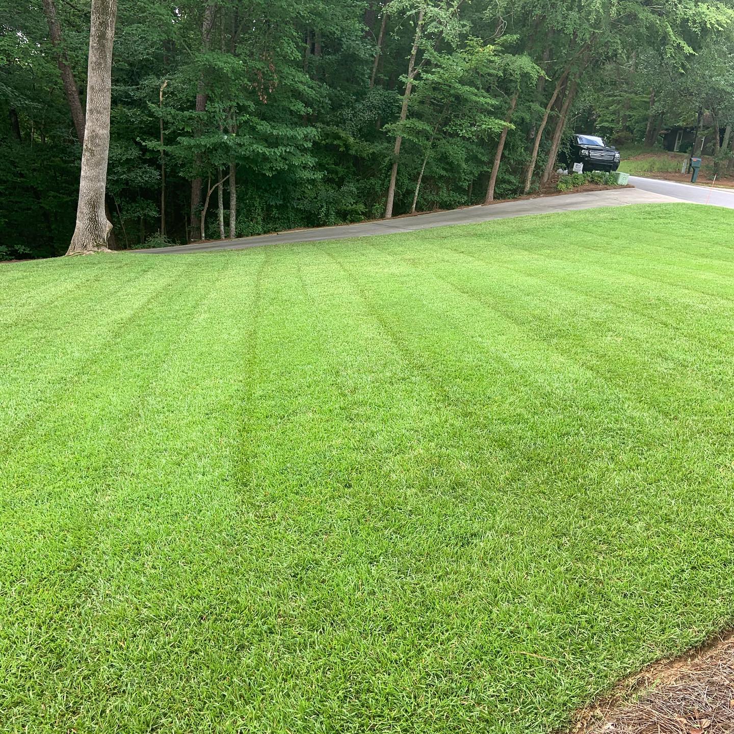 Lawn Maintenance – Blue Marlin Landscape