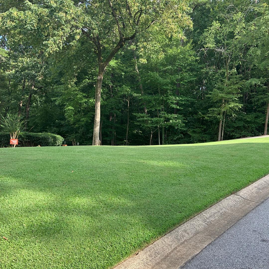Lawn Maintenance – Blue Marlin Landscape