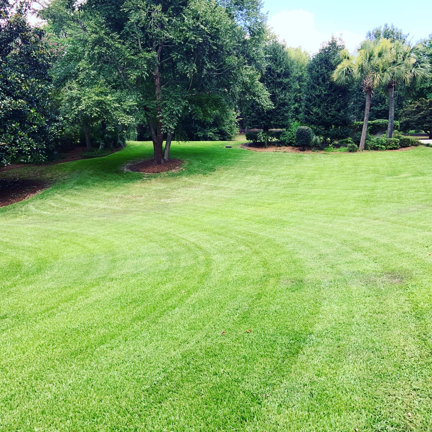 Lawn Maintenance – Blue Marlin Landscape