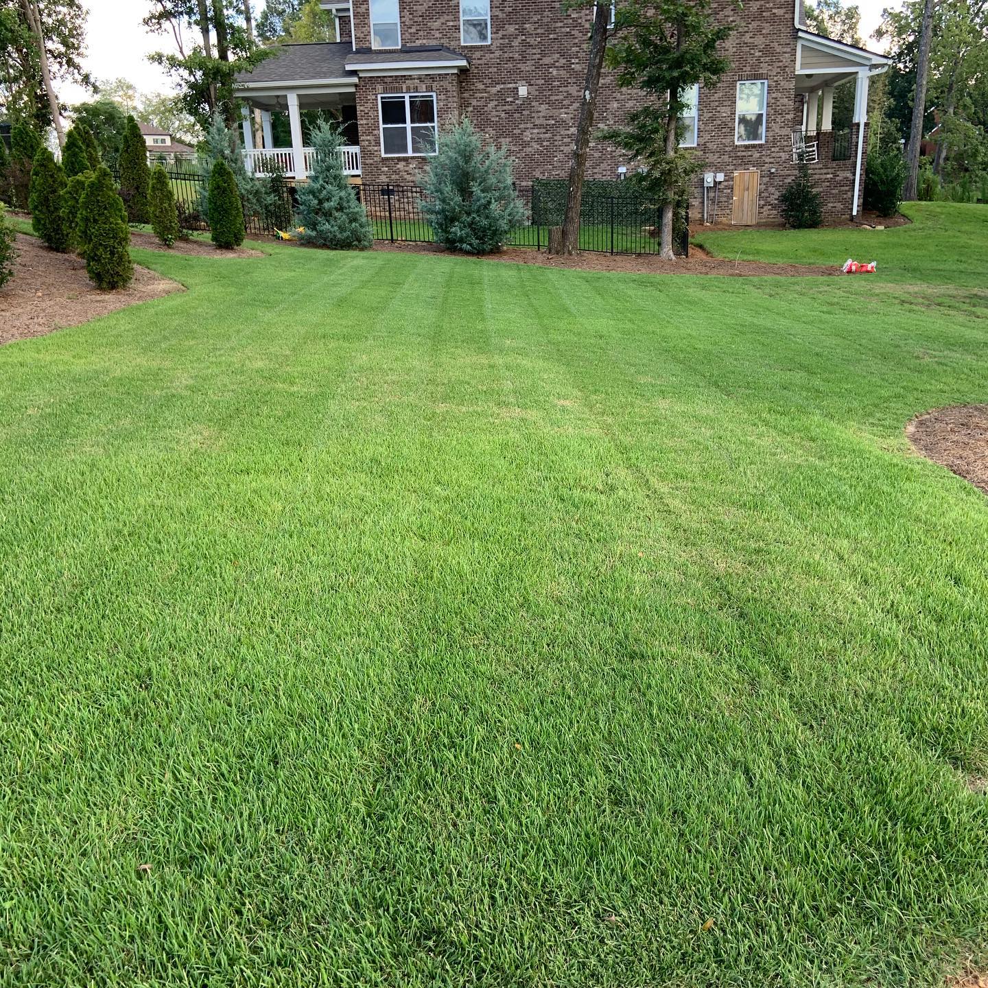 Lawn Maintenance – Blue Marlin Landscape