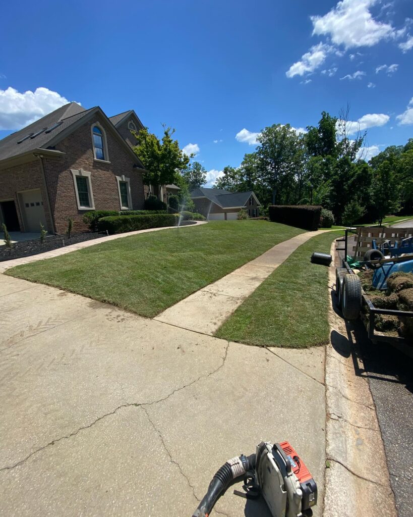 Sod – Blue Marlin Landscape