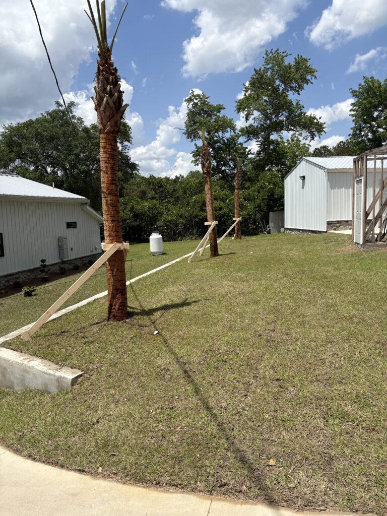 Landscape Design & Installation – Blue Marlin Landscape